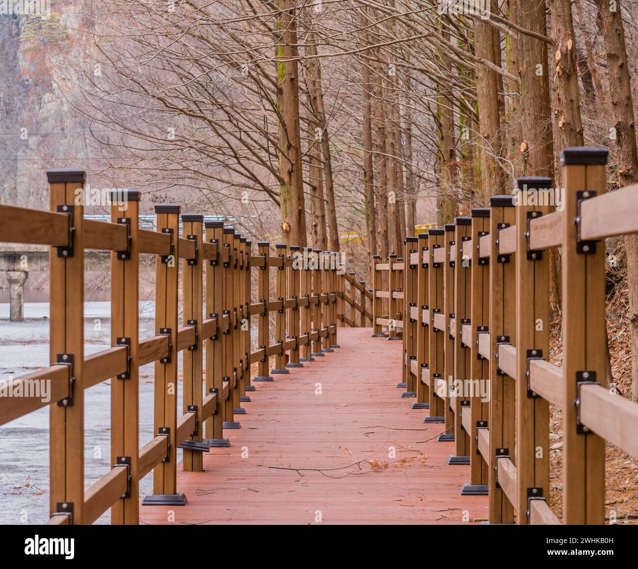 Wooden walkway running alongside river covered with thin layer of ice ...