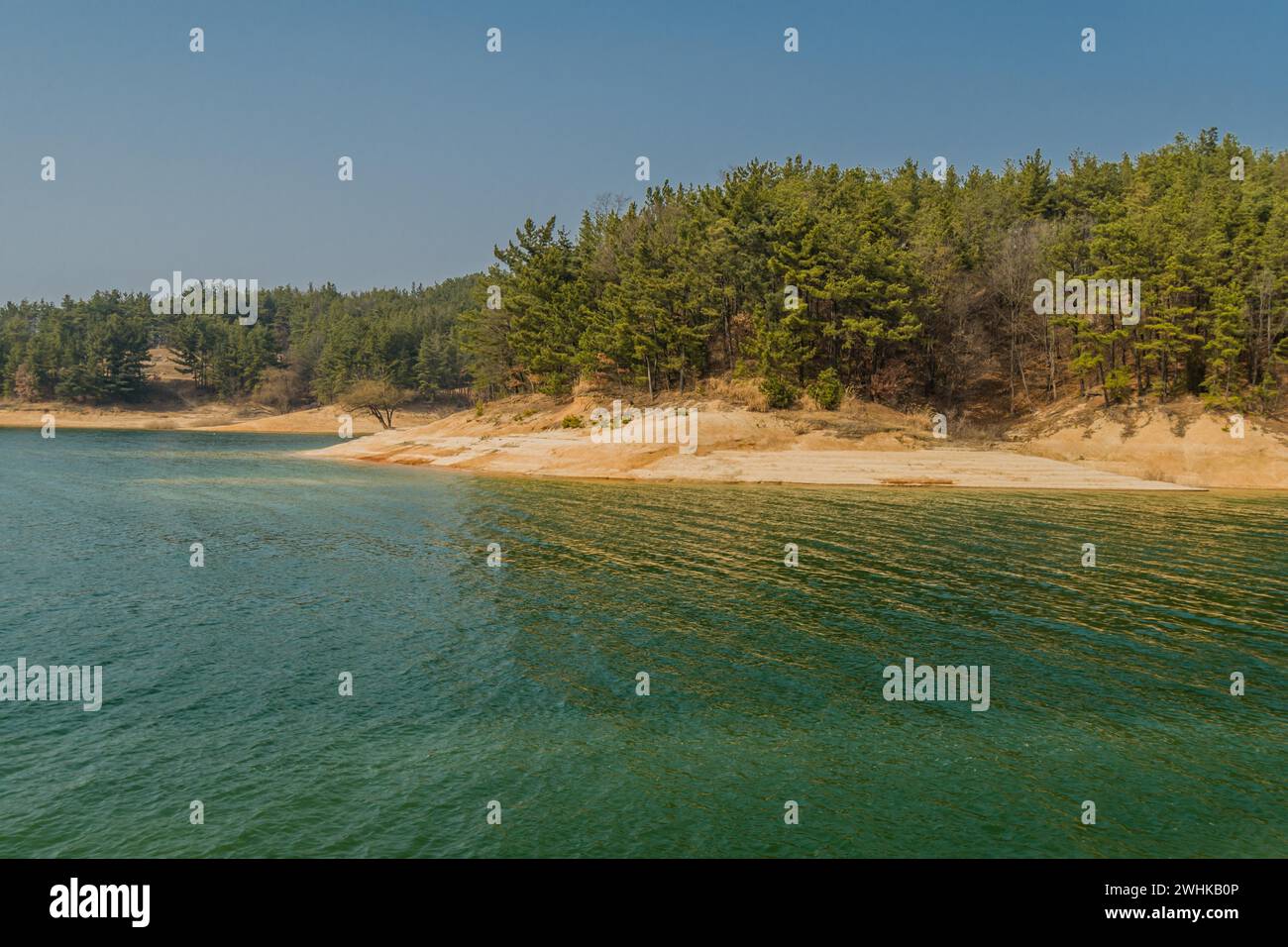 Landscape of evergreen trees on sandy beach of lake with blueish green ...