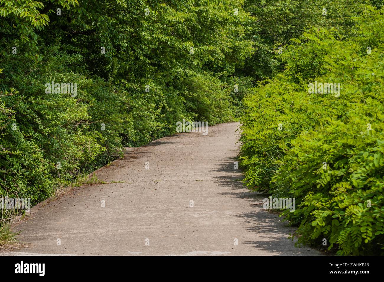 Sunny lane hi-res stock photography and images - Alamy