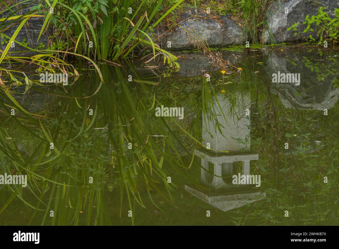 Reflection of concrete lantern and green reeds in pond with shoreline ...