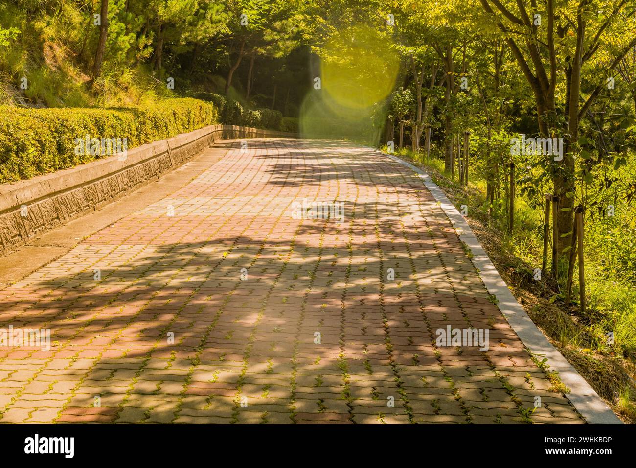 Hedge and brick wall hi-res stock photography and images - Alamy