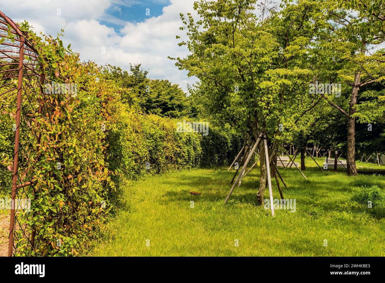 Wire structure hi-res stock photography and images - Alamy