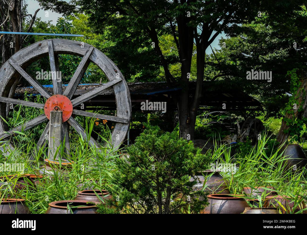 Wooden waterwheel in beautiful garden behind rows of fermentation jars ...