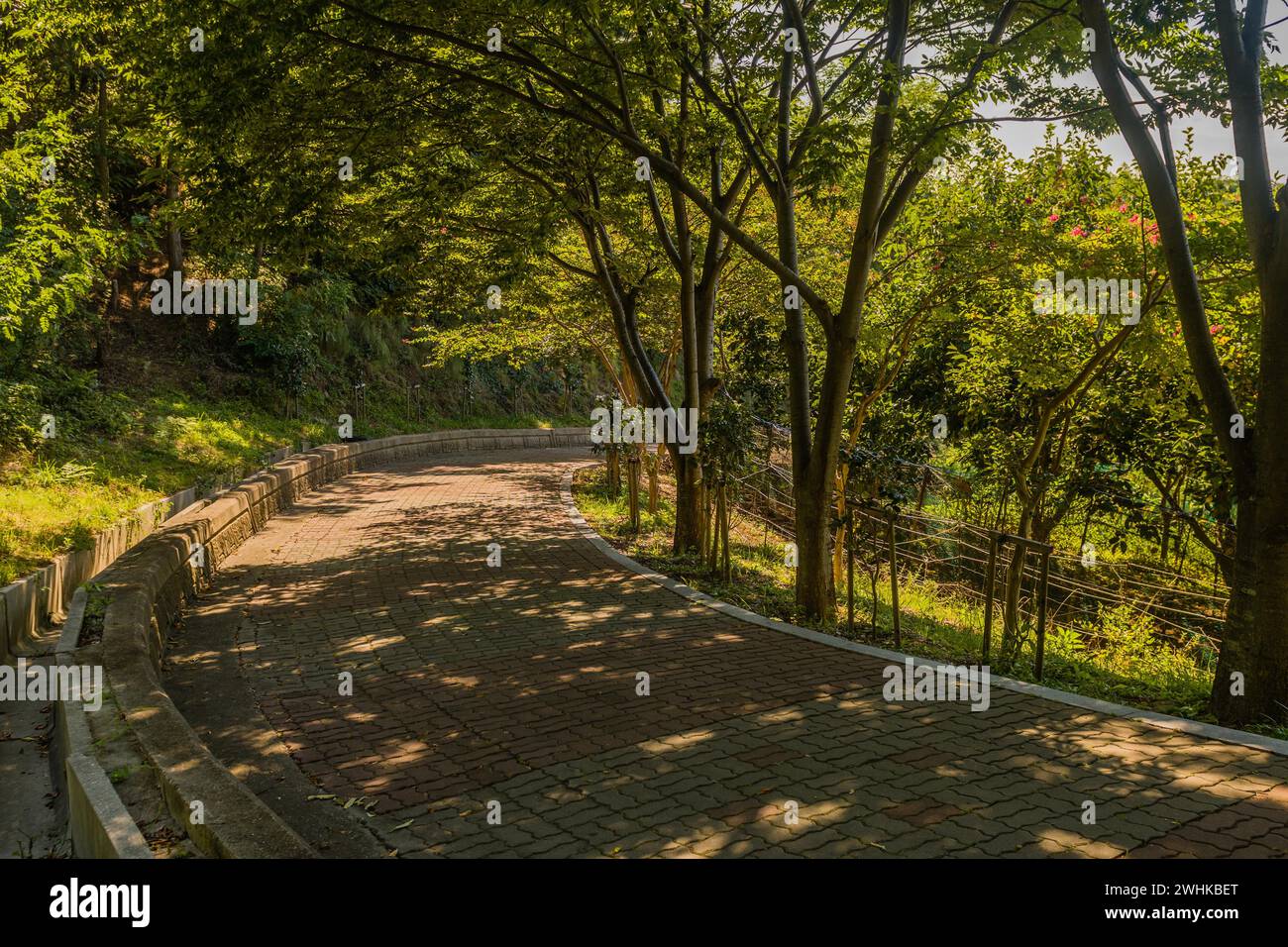 Shaded brick tree lined walkway with concrete brick wall in a mountain ...