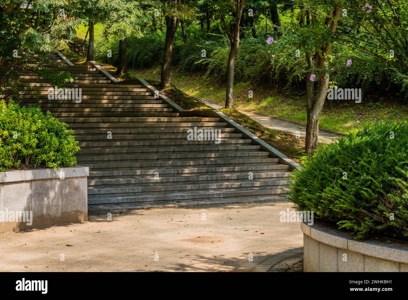 Concrete stairs next to disabled access pathway leading into woodland ...