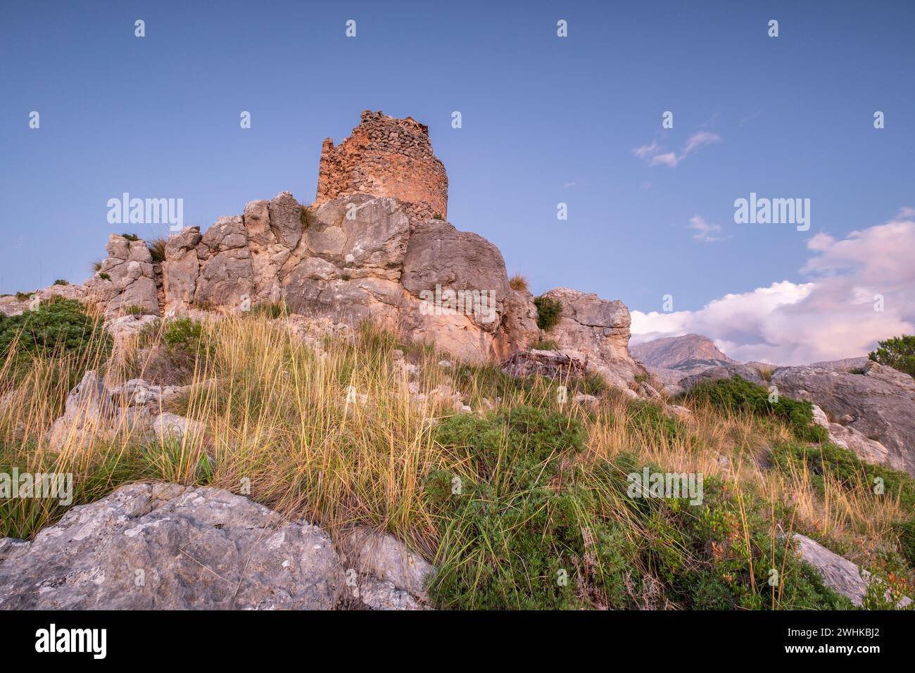 Significado cultural hi-res stock photography and images - Alamy