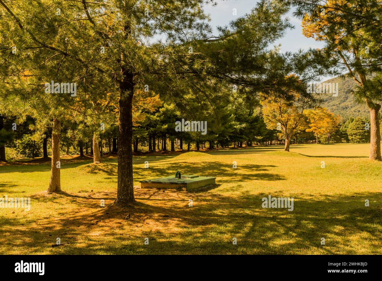 Green, rectangle underground maintenance access point shaded by ...