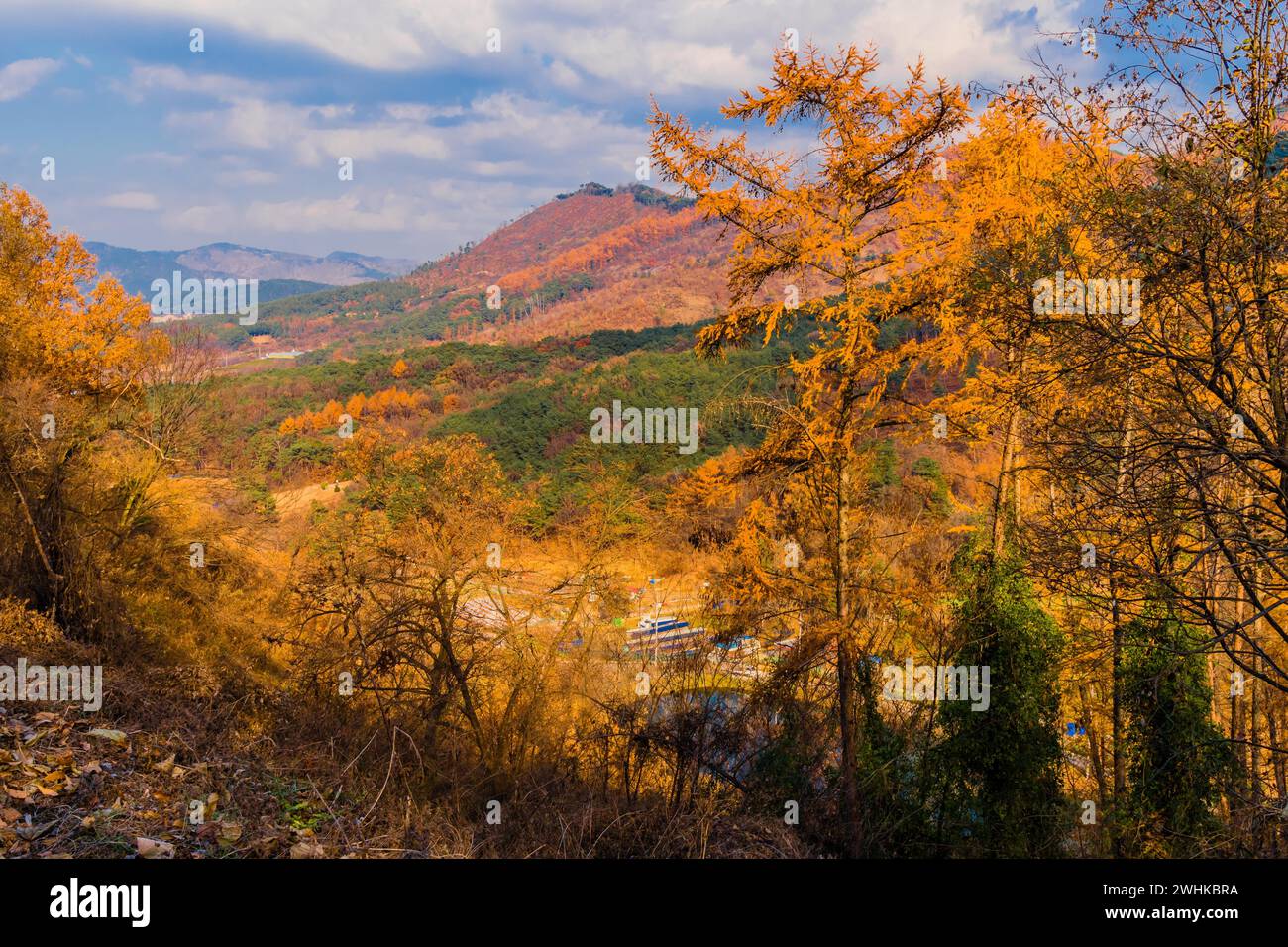 Beautiful korea mountains trees hi-res stock photography and images - Alamy