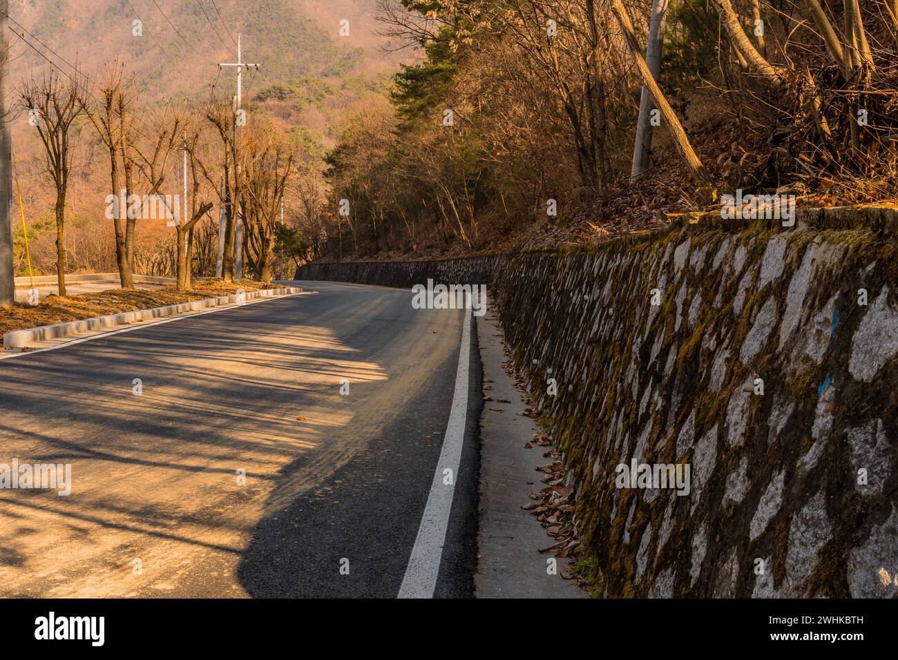Stone man made wall on side of one lane paved tree lined road in South ...