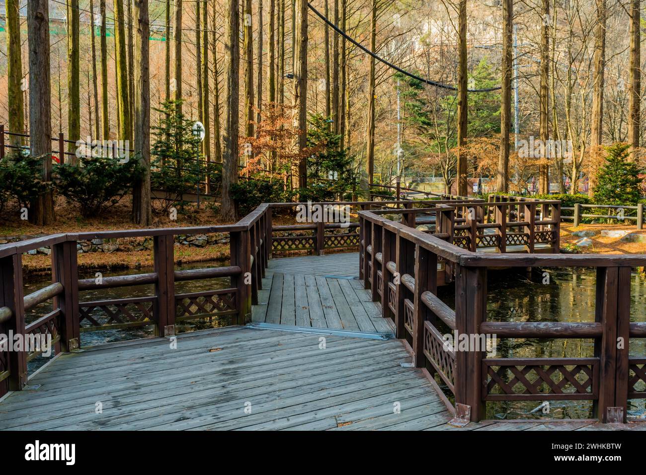 Wooden elevated walkway with handrail over pond in public park in South ...