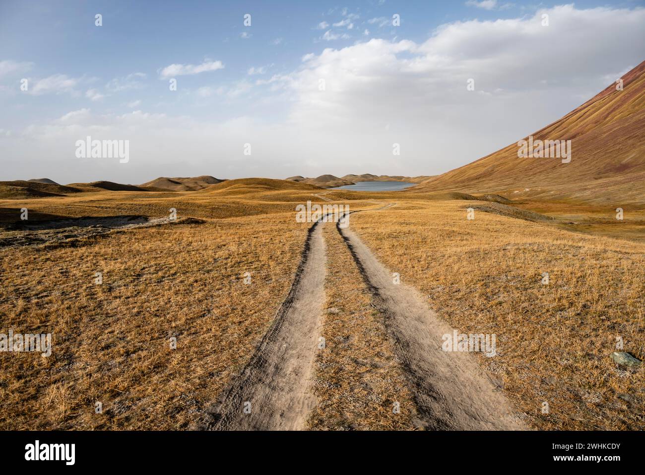 Track through hilly landscape with yellow grass, Trans Alay Mountains ...
