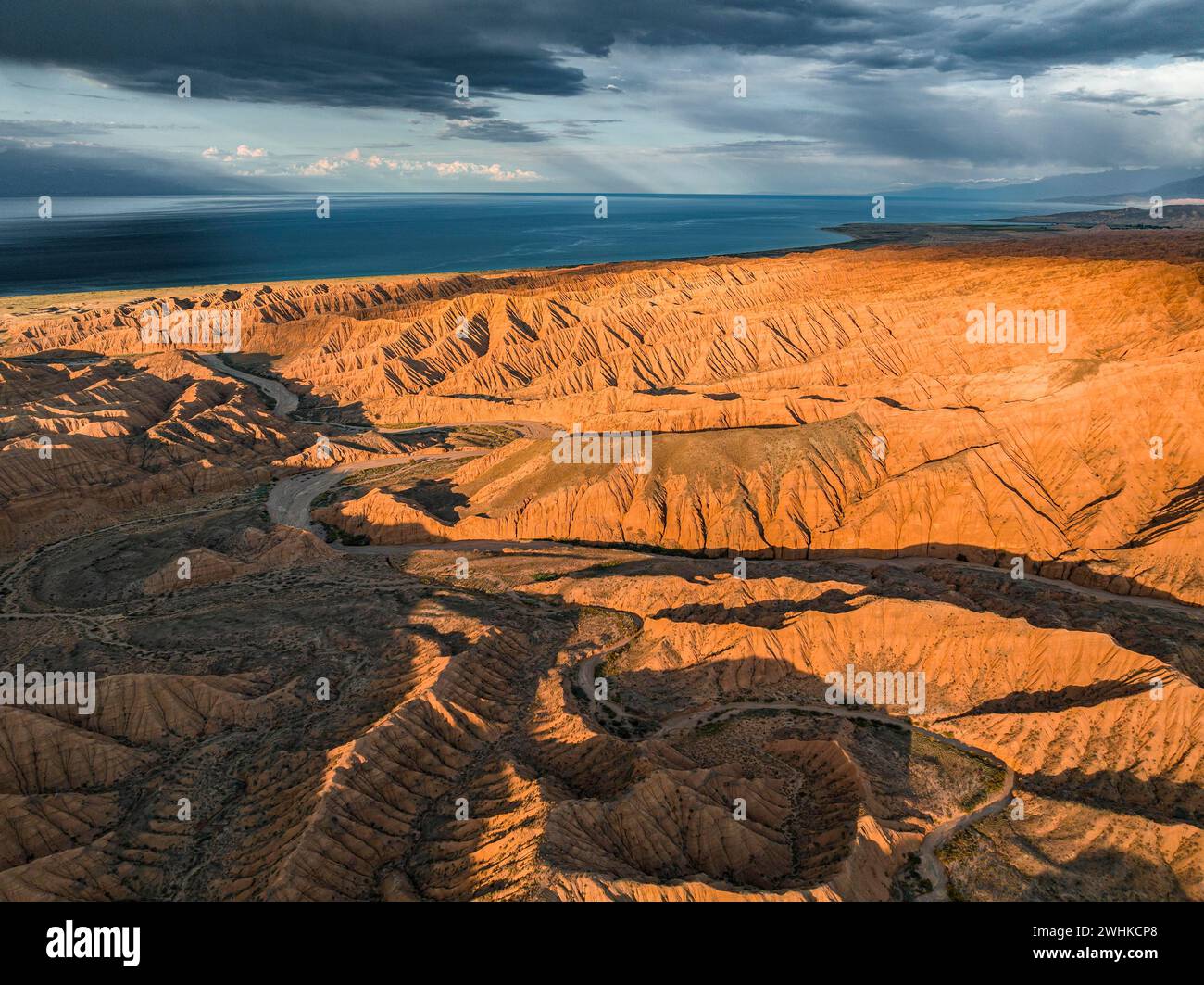 Riverbed runs through a landscape of eroded hills, badlands at sunset ...
