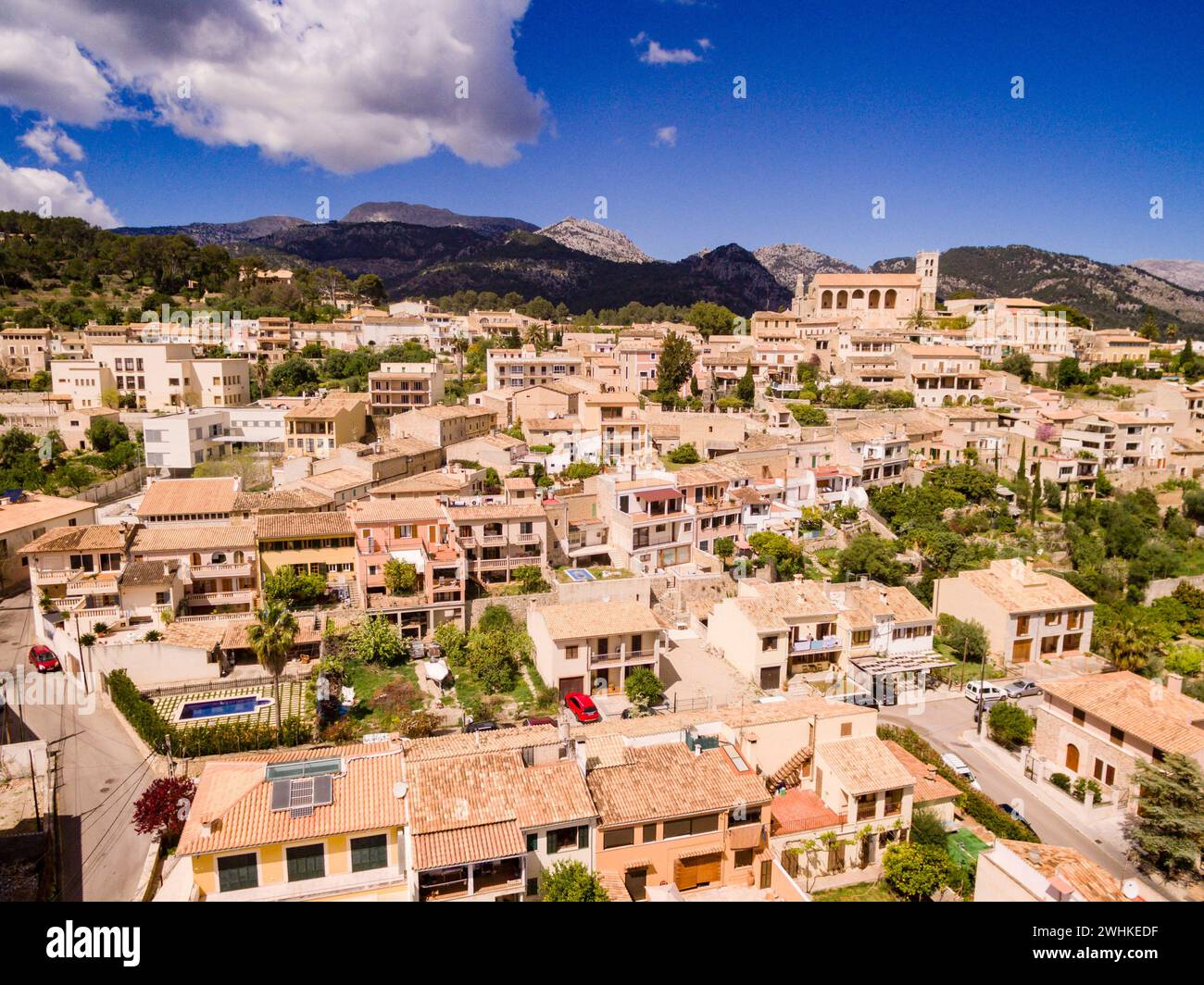 Selva mallorca hi-res stock photography and images - Alamy