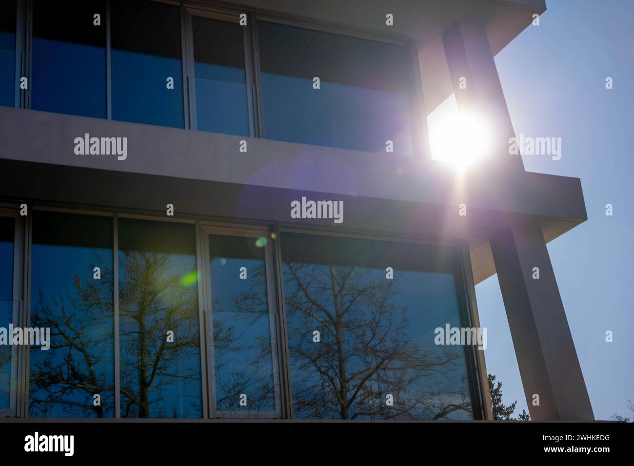Modern Design Building with Tree Reflection and Against Clear Blue Sky ...