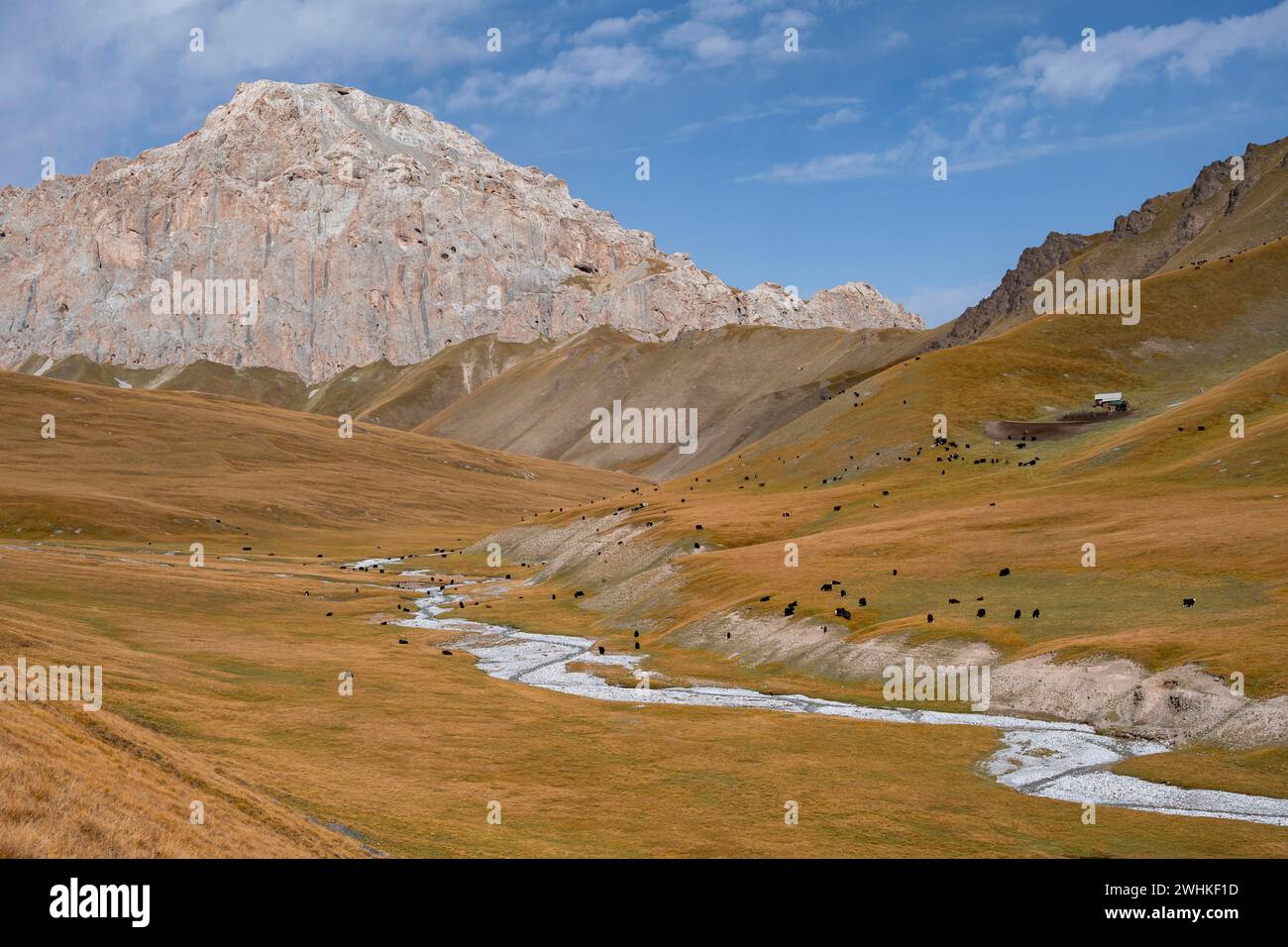 Beles mountain hi-res stock photography and images - Alamy