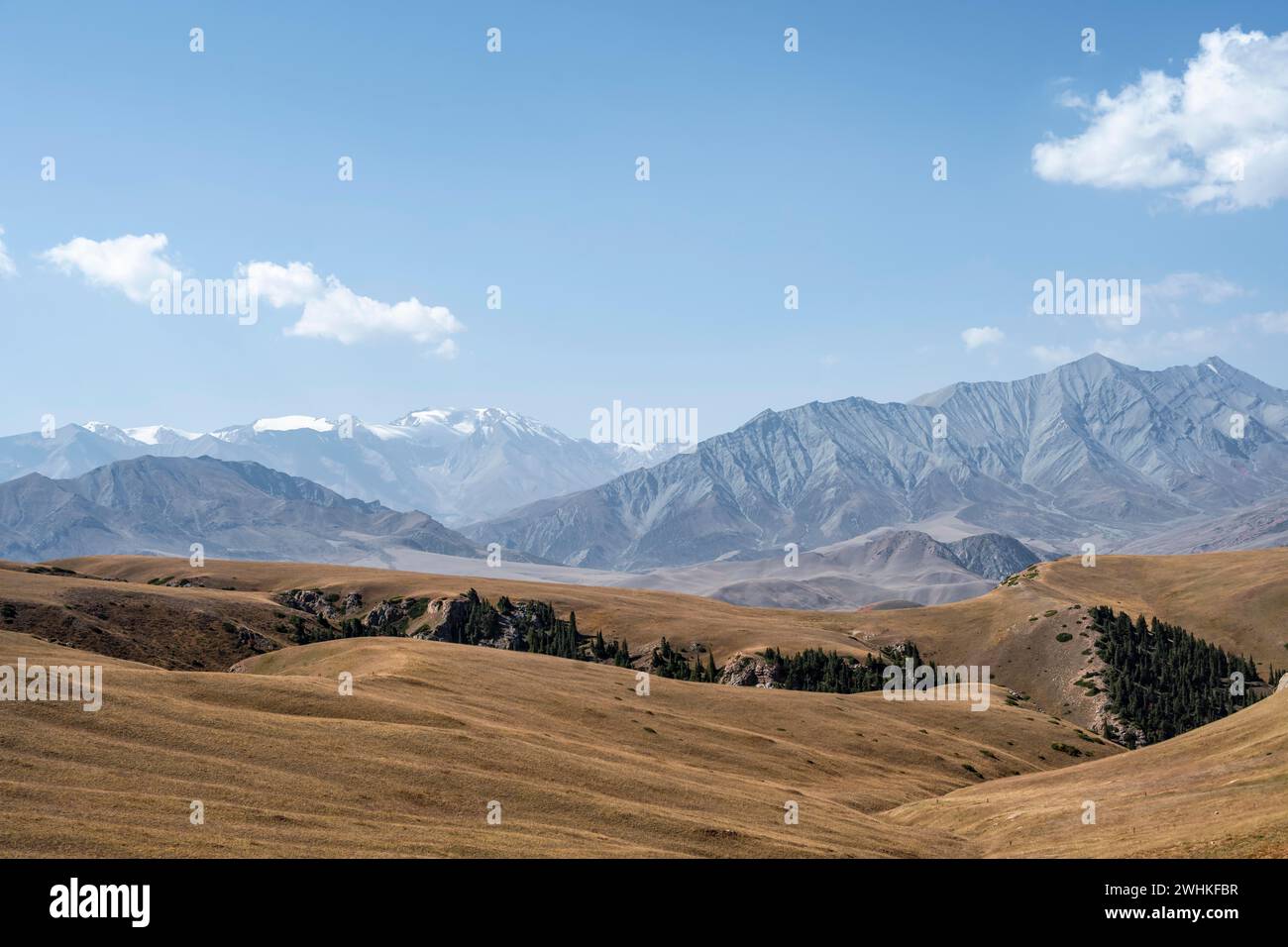 Barren landscape, erosion landscape, Naryn province, Kyrgyzstan Stock ...