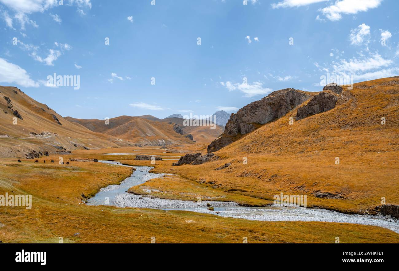 River Kol Suu winds through a mountain valley with hills of yellow ...
