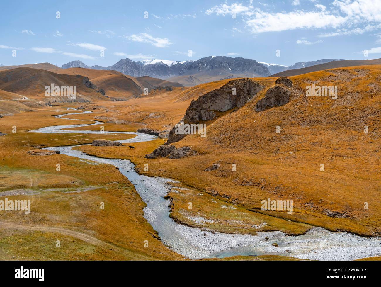 River Kol Suu winds through a mountain valley with hills of yellow ...