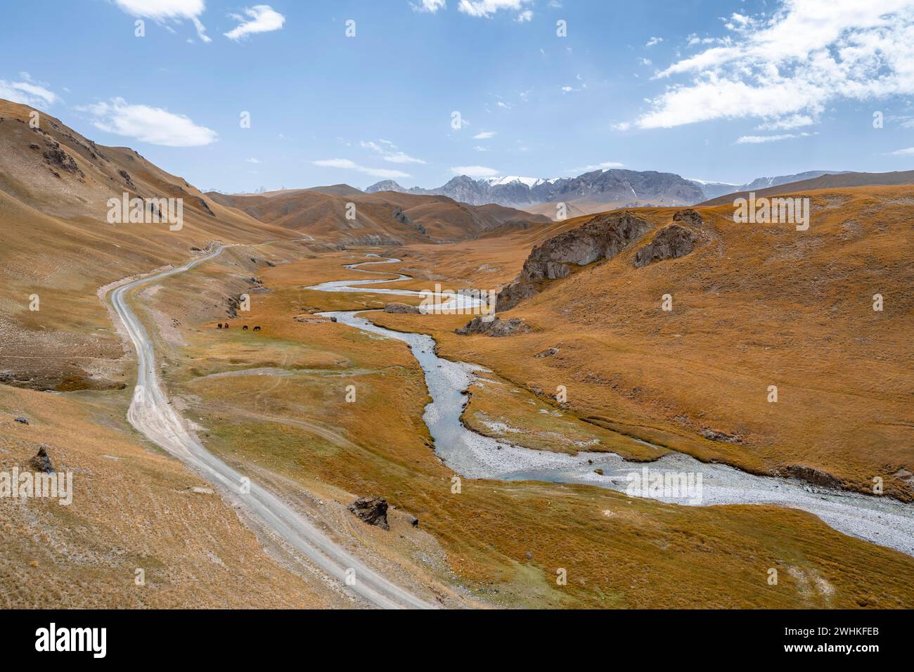 River Kol Suu winds through a mountain valley with hills of yellow ...
