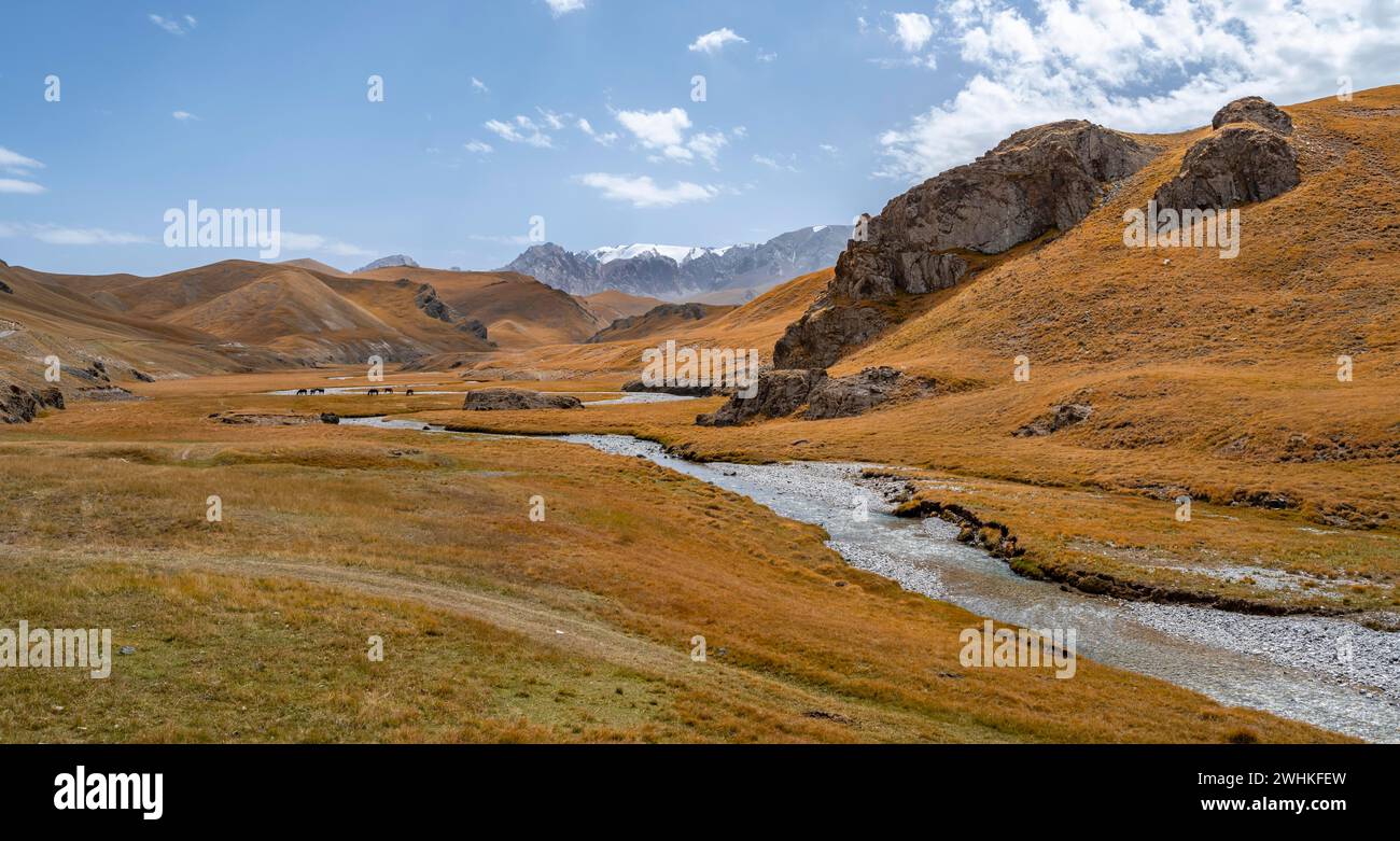 River Kol Suu winds through a mountain valley with hills of yellow ...