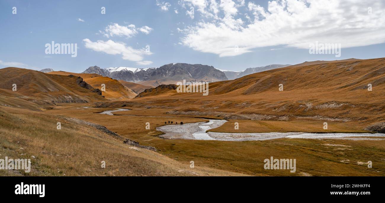 River Kol Suu winds through a mountain valley with hills of yellow ...