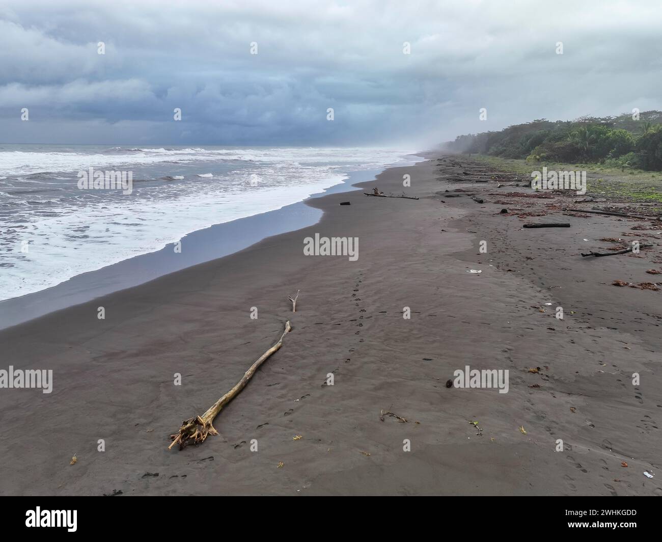 Beach and sea, coast with rainforest, Tortuguero National Park, Costa ...