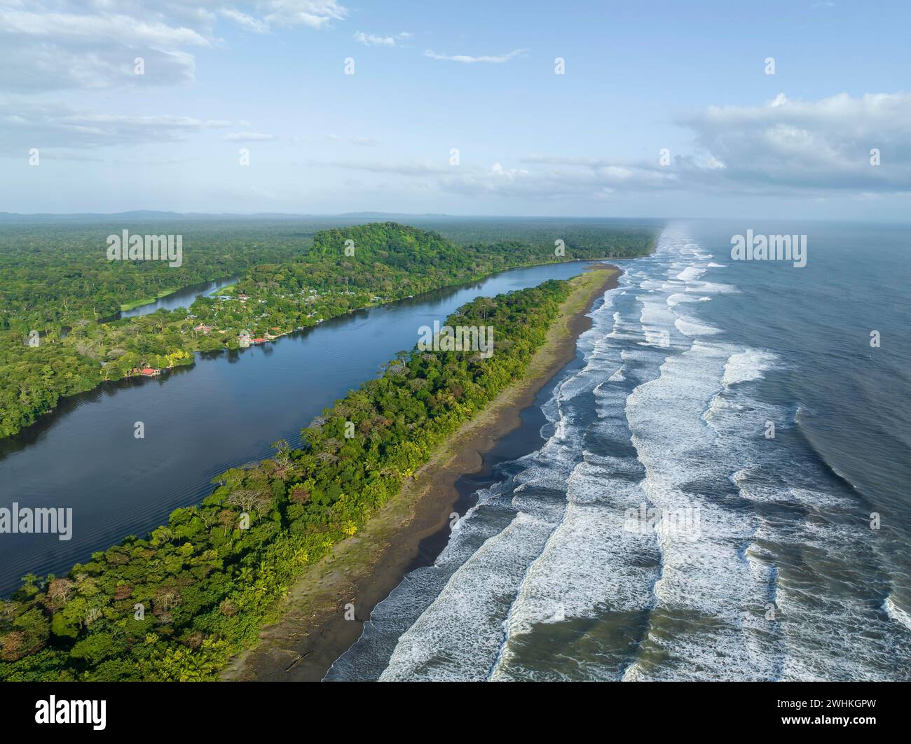 Aerial view, beach and sea, coast with rainforest, Tortuguero National ...
