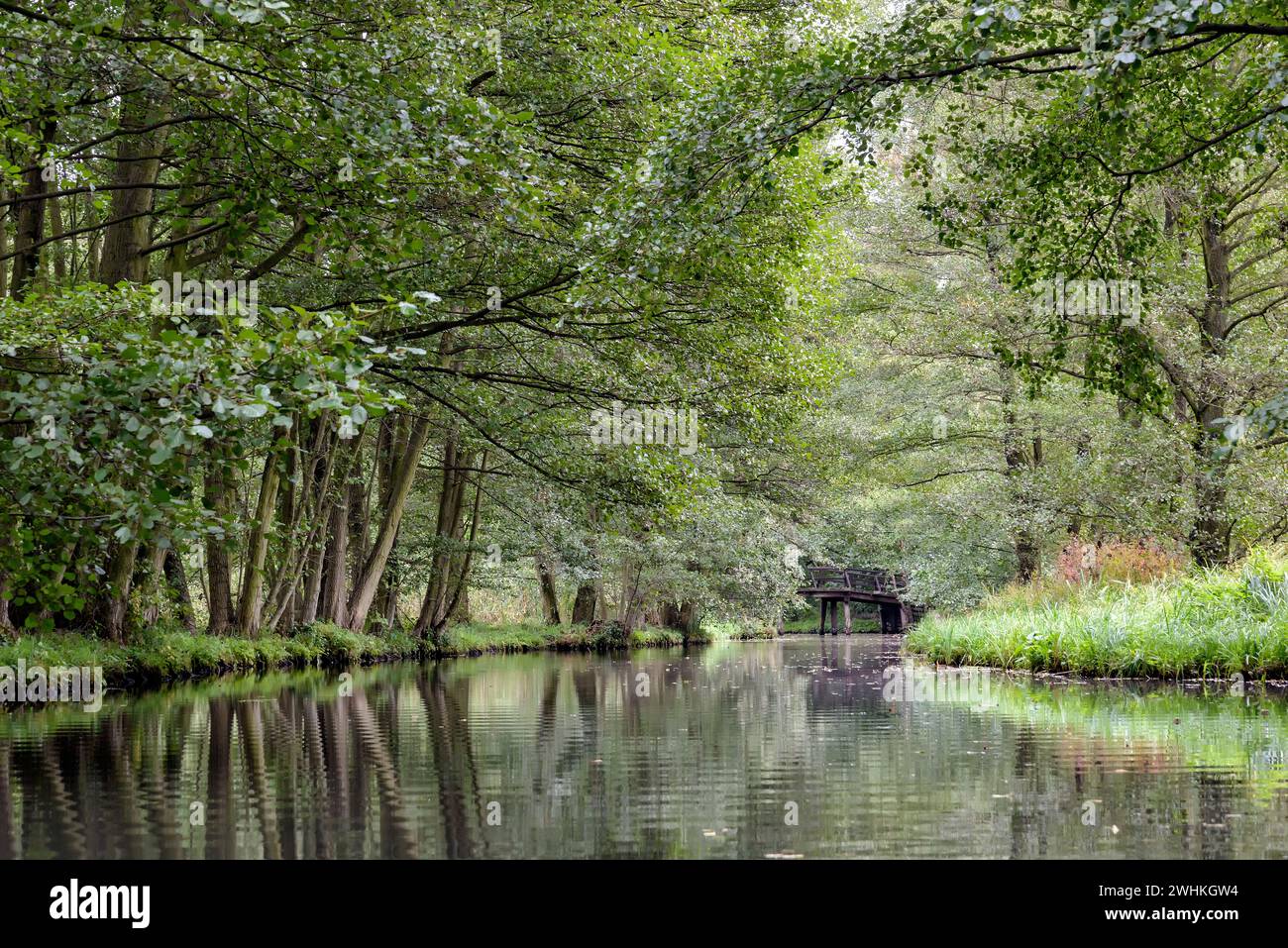 Landscape in the Spreewald in Brandenburg in Germany Stock Photo - Alamy