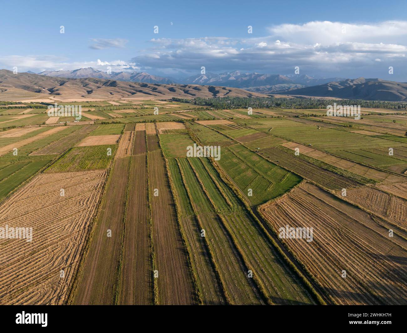 Aerial view, Cultivated fields, Agriculture, Landscape, Kyrgyzstan ...