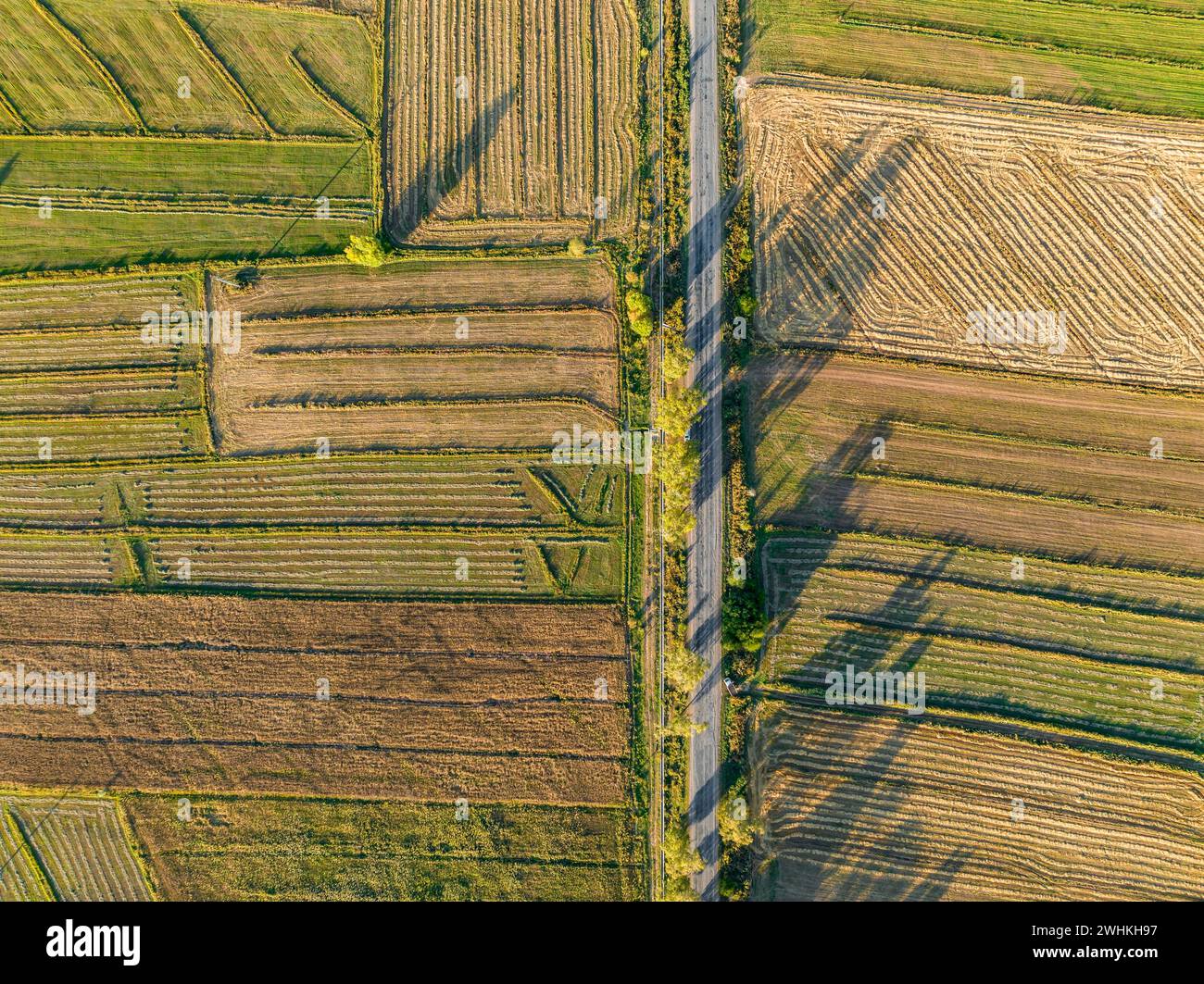 High angle top down view hi-res stock photography and images - Alamy