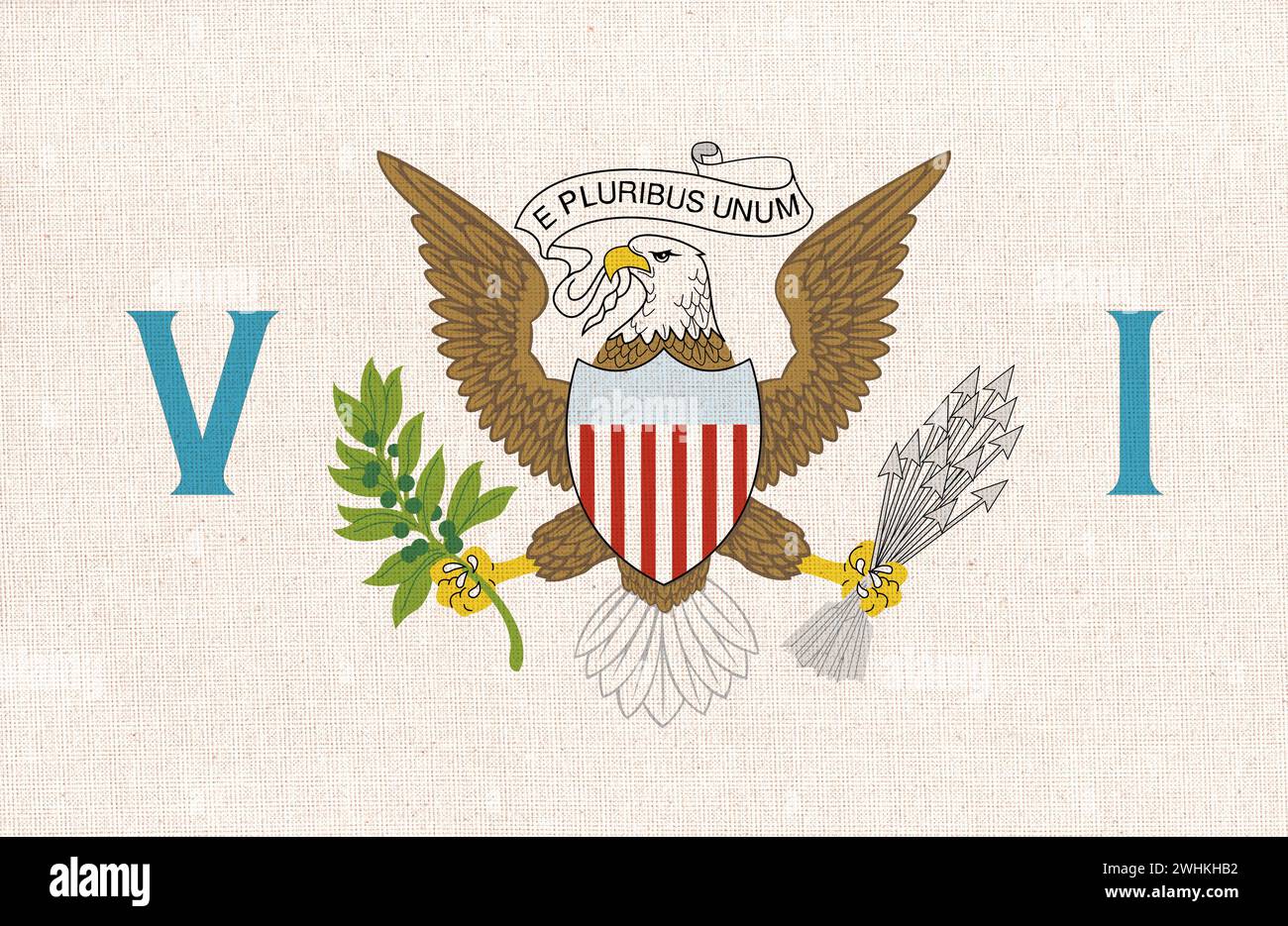 Flag of United States Virgin Islands. official symbol of United States ...