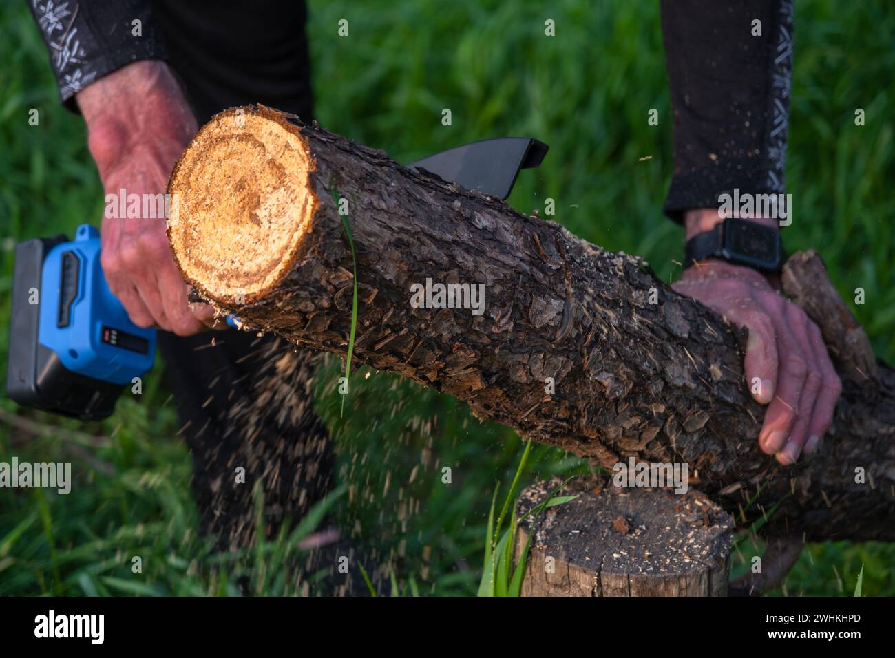 Hand-held portable camping electric saw on a battery for cutting ...