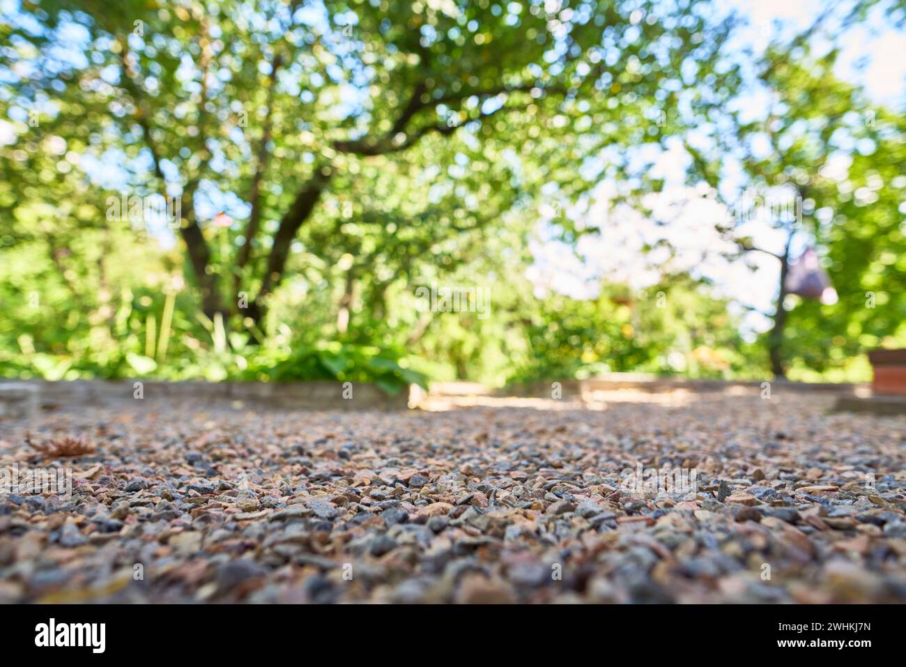 Gravel path in garden on summer day Stock Photo - Alamy