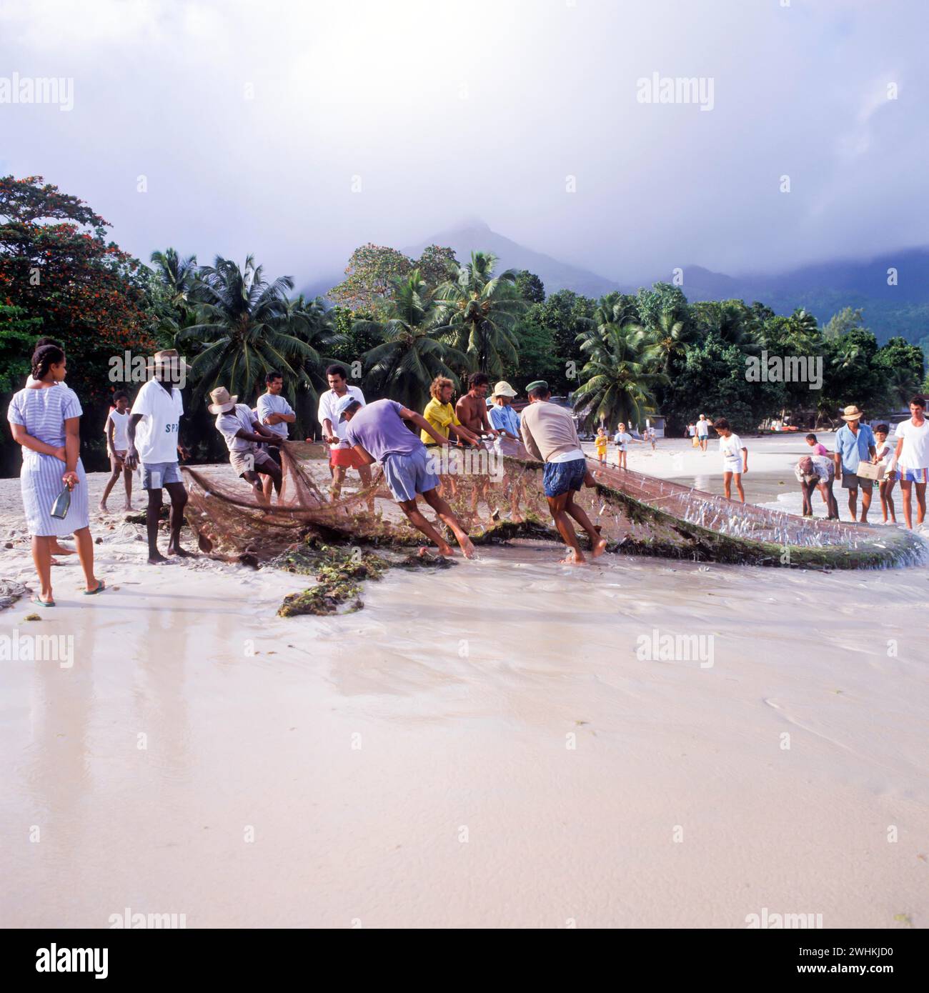 Seychelles, Mahe, Beau Vallon, fishermen pull fishing net ashore Stock ...