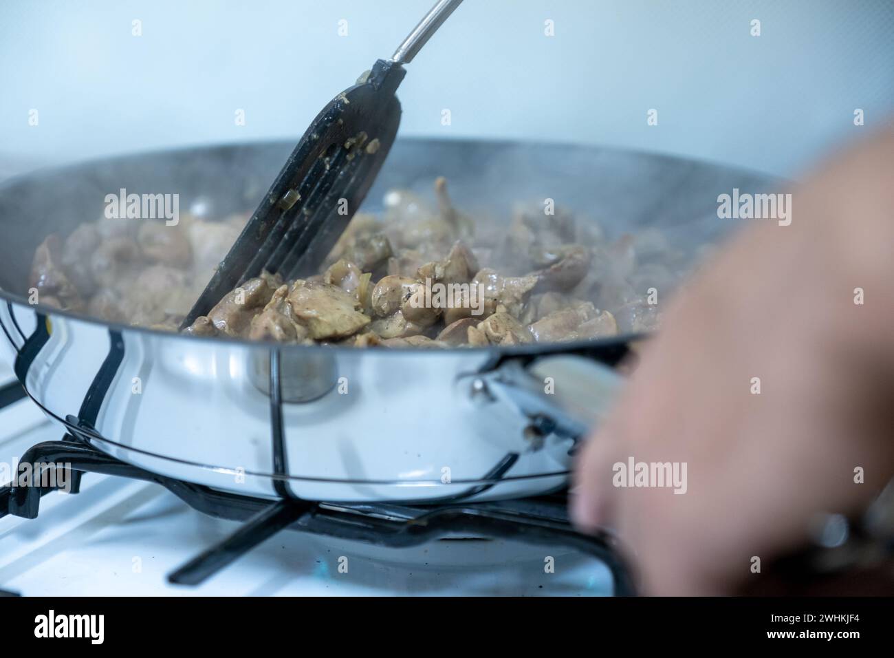 Bird gizzard hi-res stock photography and images - Alamy