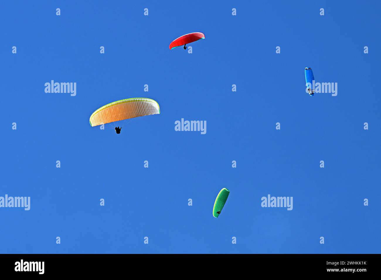 Colorful paragliders hi-res stock photography and images - Alamy