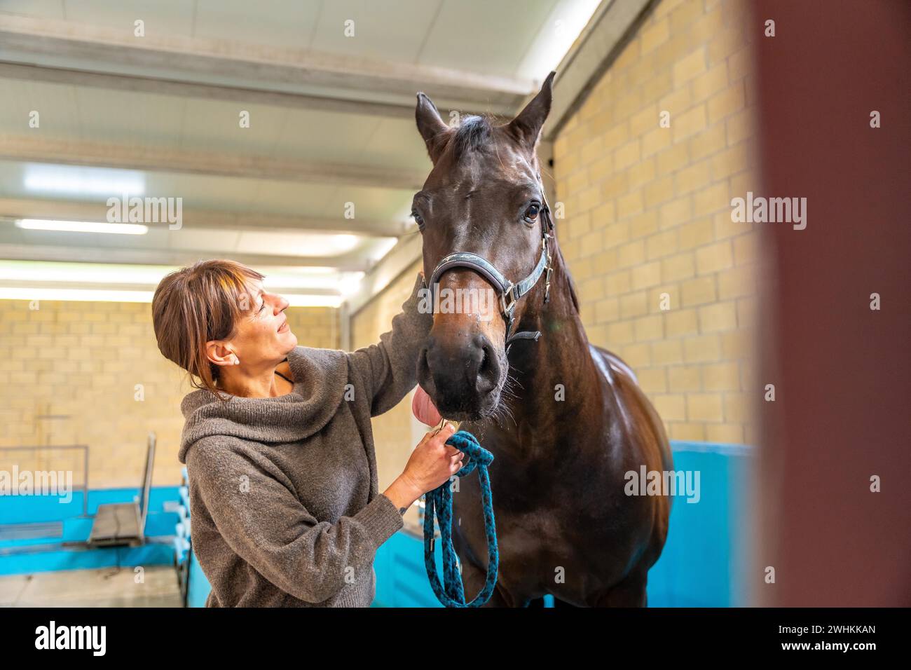 Caressing a horse hi-res stock photography and images - Alamy