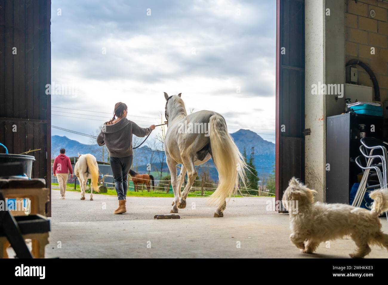 Three people and their dog hi-res stock photography and images - Alamy