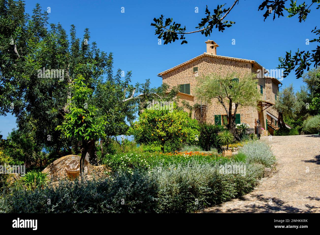 Robert graves hi-res stock photography and images - Alamy