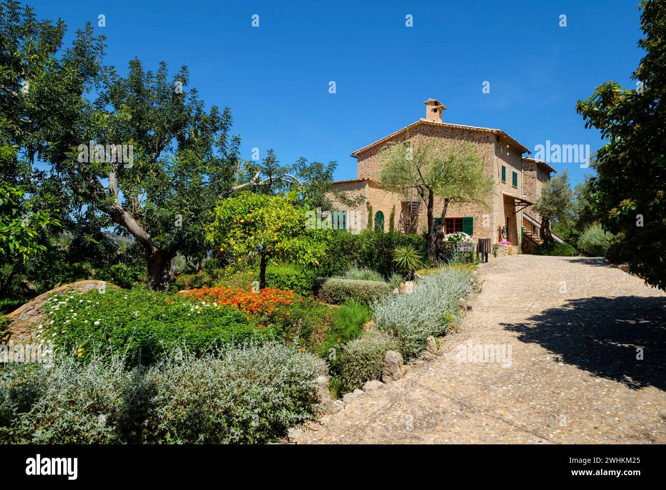 Robert graves hi-res stock photography and images - Alamy