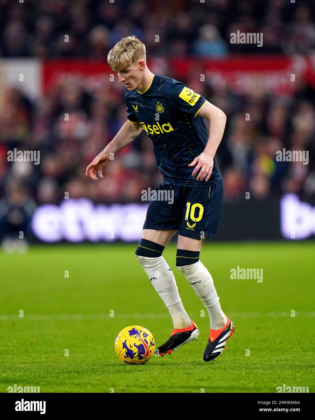 10 anthony gordon hi-res stock photography and images - Alamy