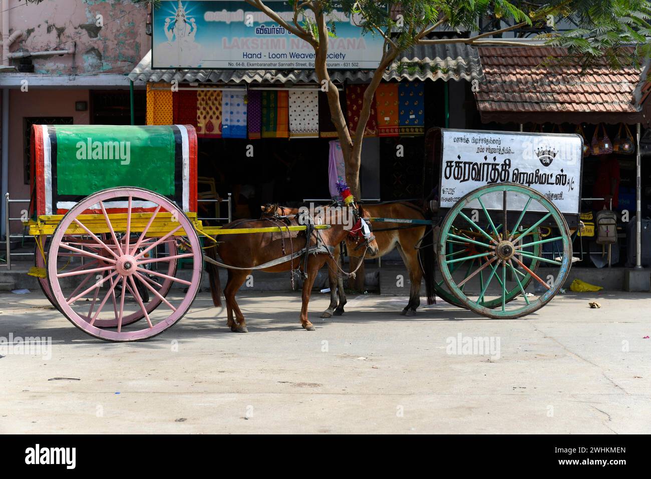 Indian horse and cart hi-res stock photography and images - Alamy