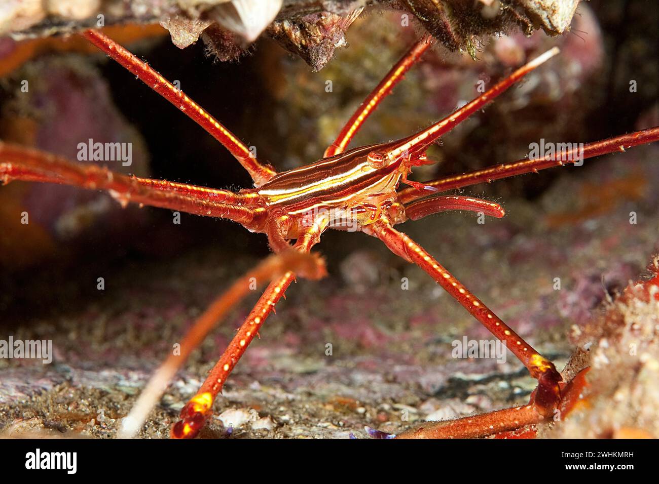 Arrow head cave hi-res stock photography and images - Alamy