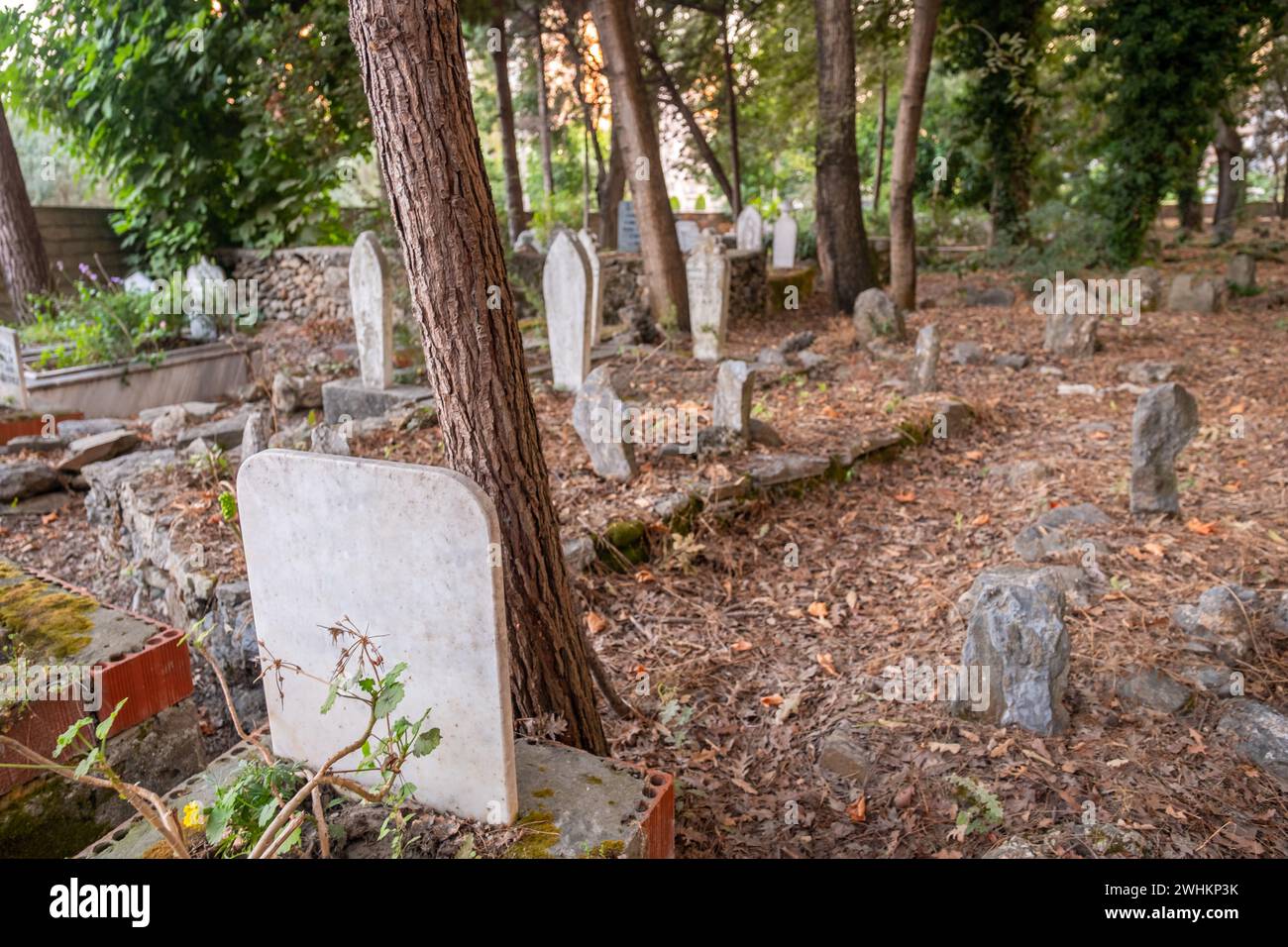Old Islamic graveyard focusing on the tombstones Stock Photo - Alamy
