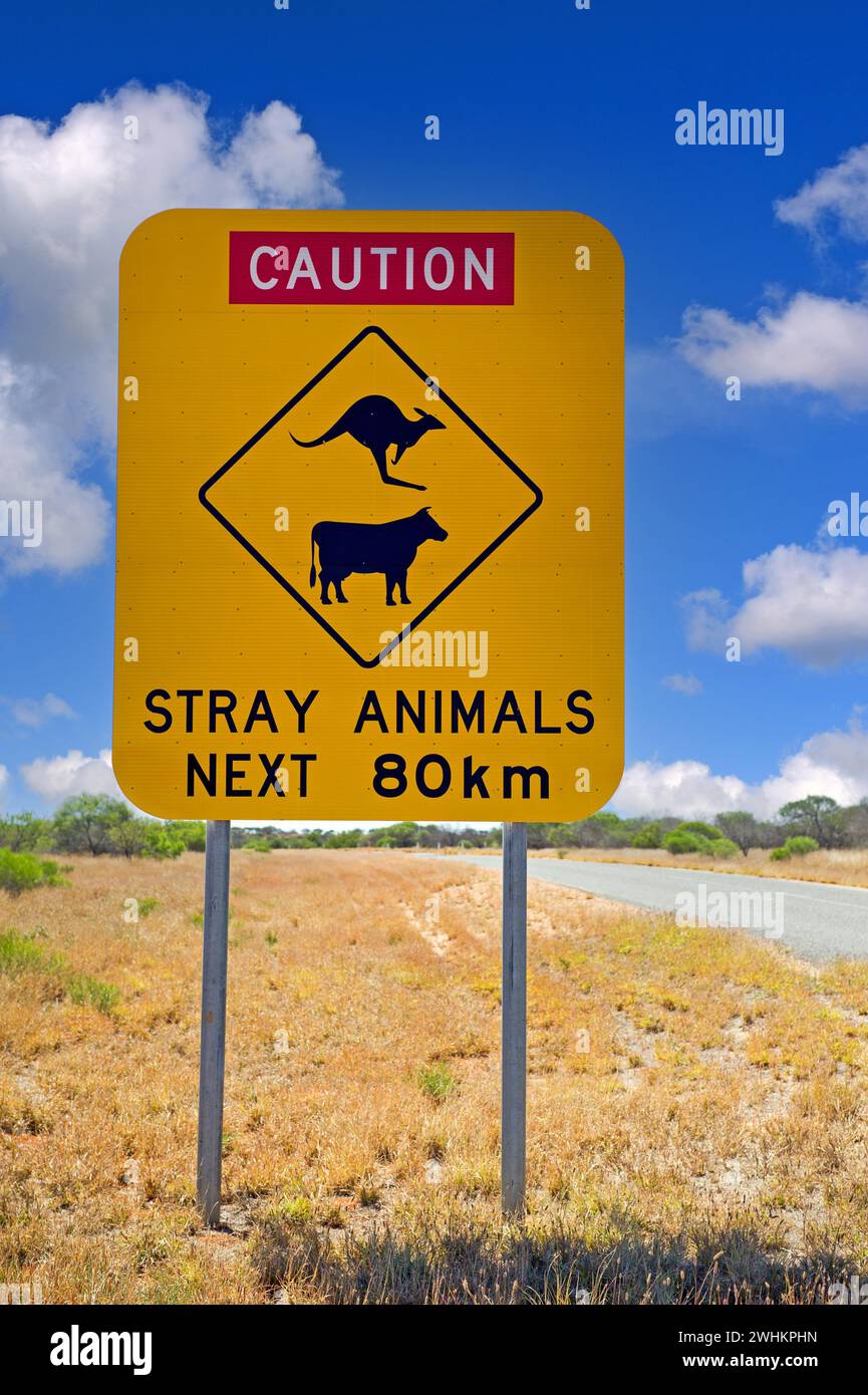 Danger sign in Australia, Beware of animals, Beware of cattle, Beware ...