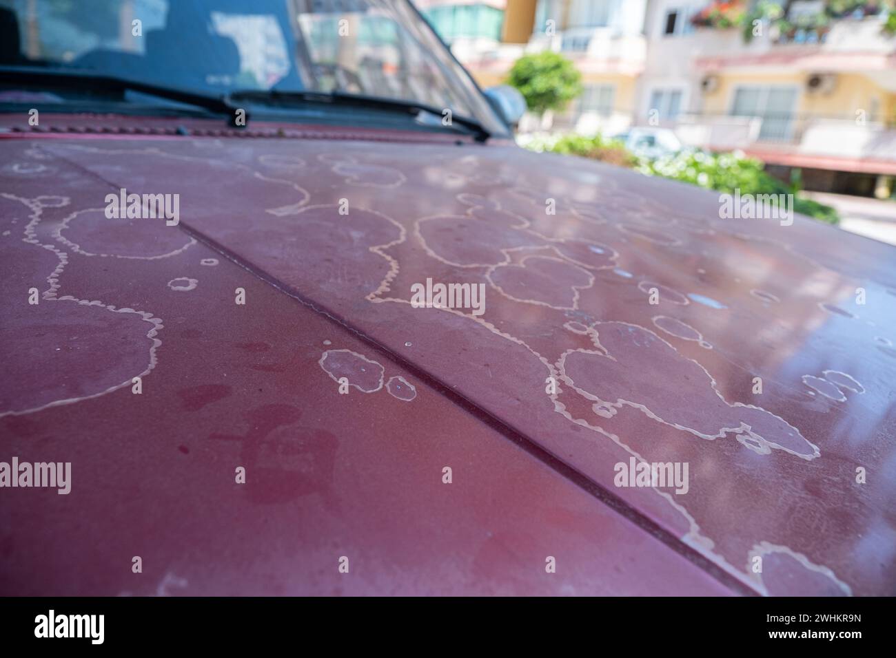 Old car paint affected by the soap , sun and humidity Stock Photo - Alamy