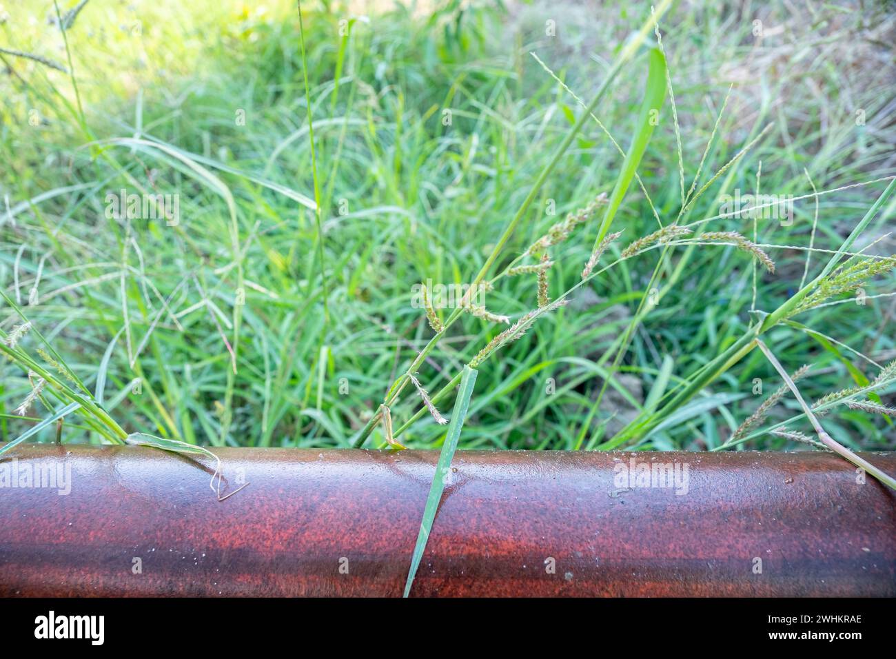 Old rusty metallic pipe line for water transmission Stock Photo - Alamy