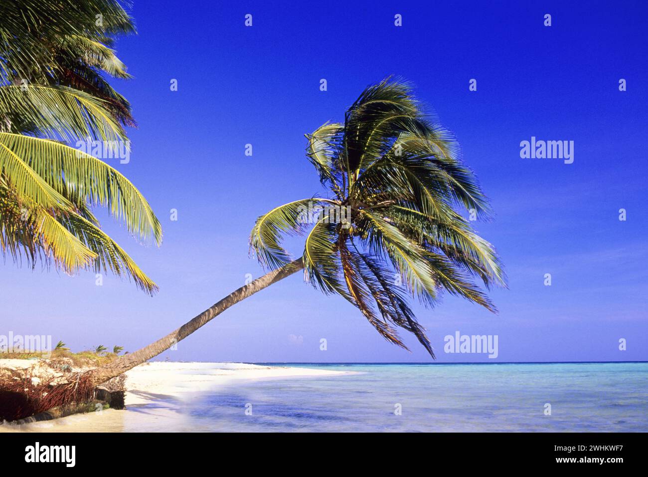 Caribbean, Caribbean, Belize, Belize Stock Photo - Alamy