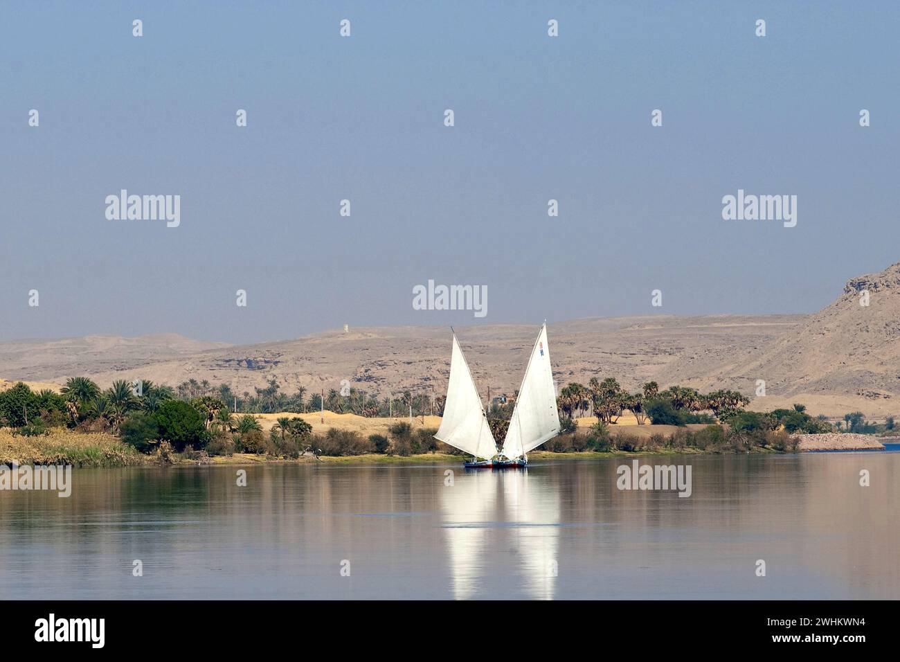 Egypt, Nile, Felucca, landscape, Nile, Cairo, Egypt Stock Photo - Alamy