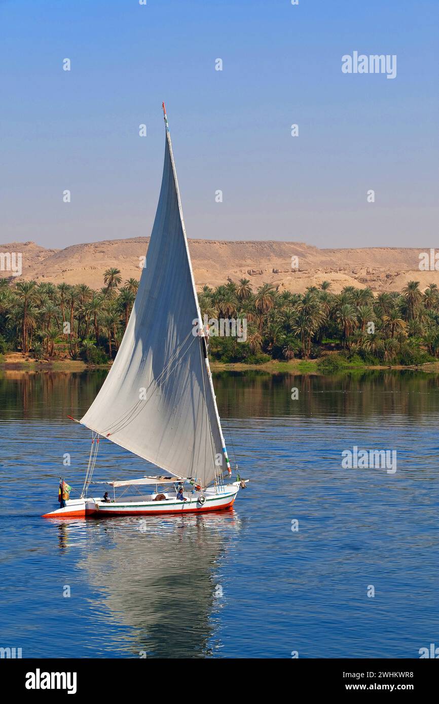 Middle East, Egypt, Cairo, Egypt, landscape, Nile, Felucca, boat, Egypt ...